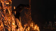 Witch hunts | Witcher Wiki | Fandom