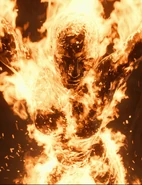 Falka | Witcher Wiki | Fandom