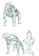 Hellhound | Witcher Wiki | Fandom