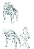 Perro infernal | Wiki The Witcher | Fandom