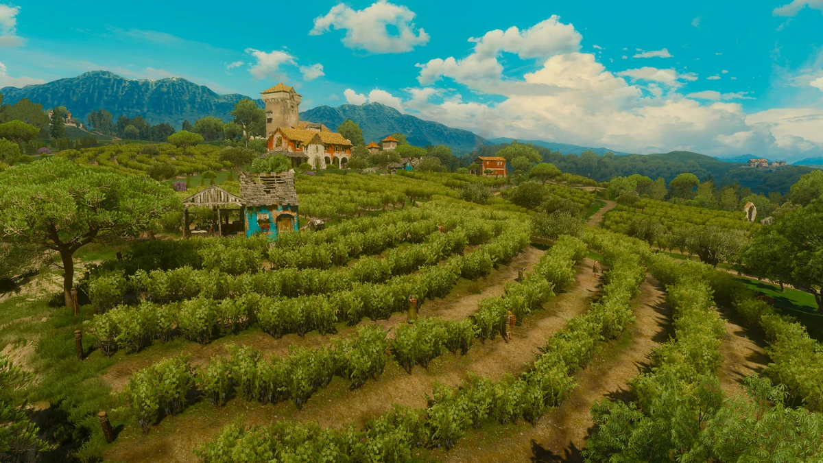 Castel Ravello Vineyard | Witcher Wiki | Fandom