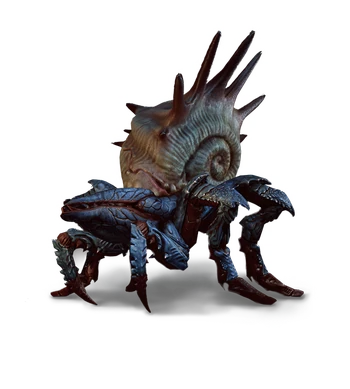 Armored arachas | Witcher Wiki | Fandom