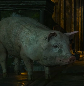 Igor (Fools' Gold) | Witcher Wiki | Fandom