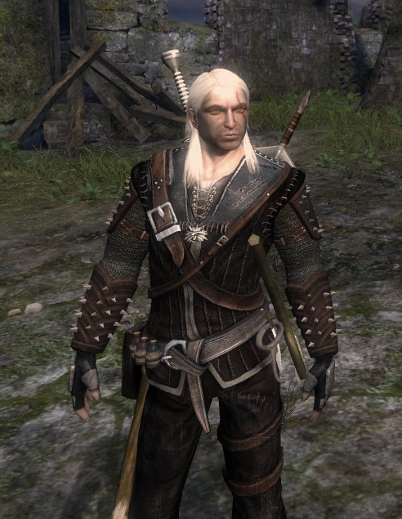 Raven's Armor of the Order | Witcher Wiki | Fandom