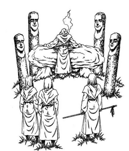 Druid | Witcher Wiki | Fandom