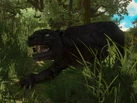 Pantera | The Witcher Wiki | Fandom