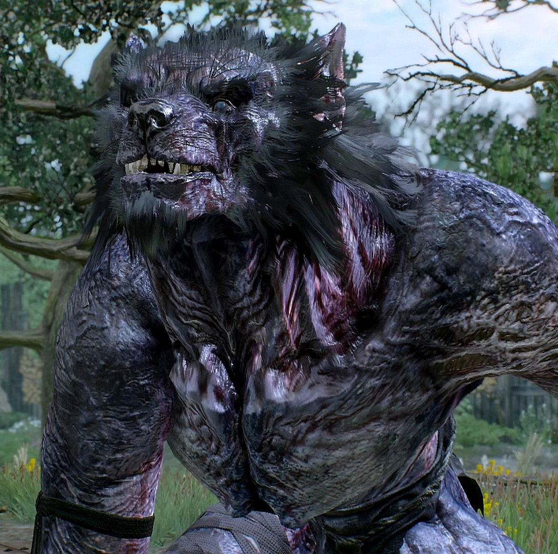 Witcher 3 Werewolves