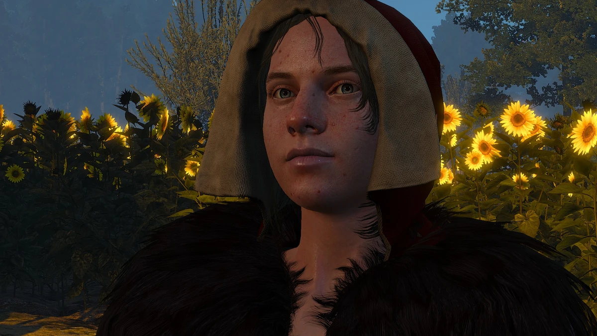 Little Red (quest) | Witcher Wiki | Fandom