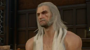Beard and Hairstyle Set | Witcher Wiki | Fandom