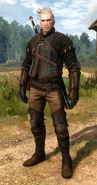 Temerian Armor set | Witcher Wiki | Fandom