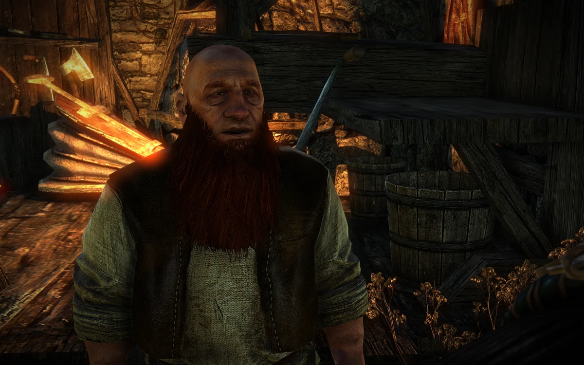 The Witcher 2 merchants | Witcher Wiki | Fandom