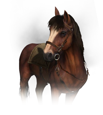 Roach | Witcher Wiki | Fandom