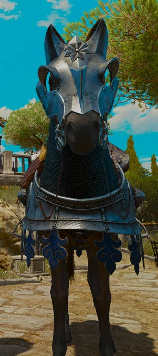 Knight errant's blinders | Witcher Wiki | Fandom