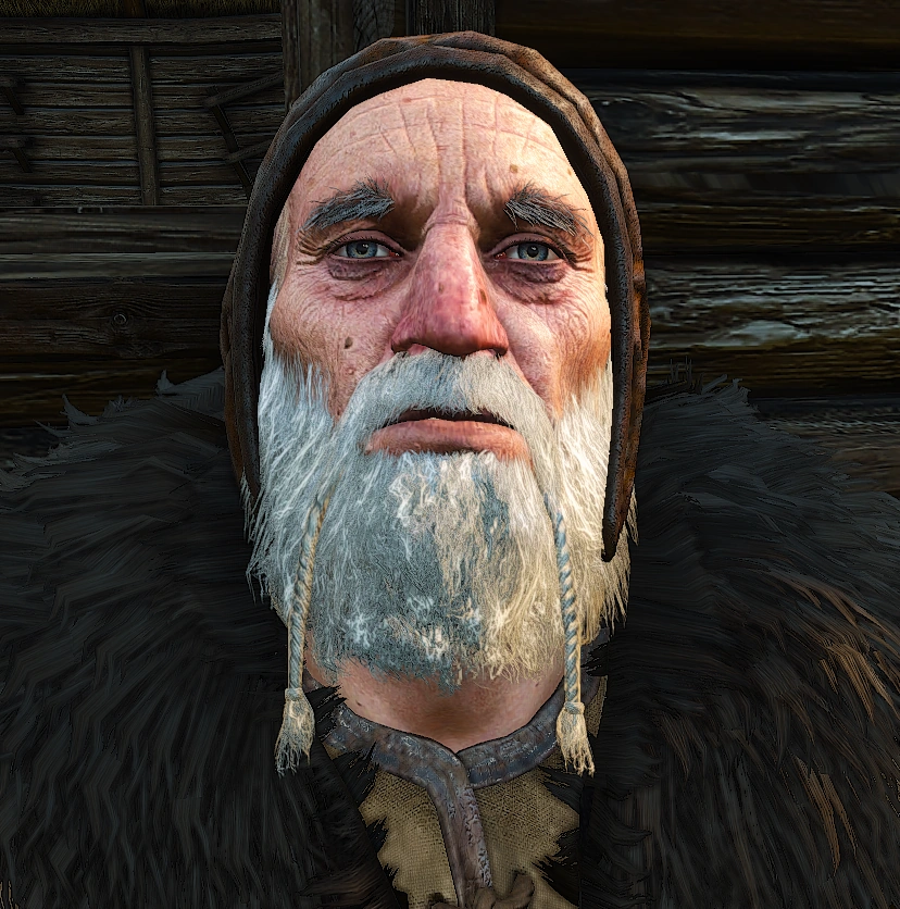 Old Sage | Witcher Wiki | Fandom