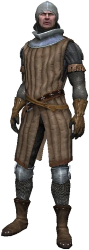 Torch Guardian | Witcher Wiki | Fandom
