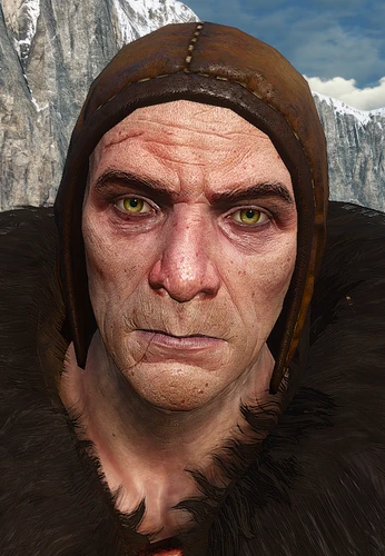 Steingrim | Witcher Wiki | Fandom