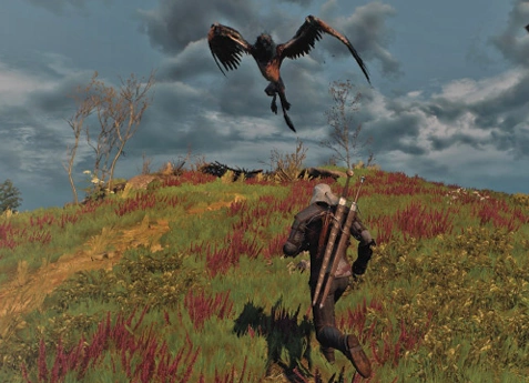 Contract: The Griffin from the Highlands | Witcher Wiki | Fandom