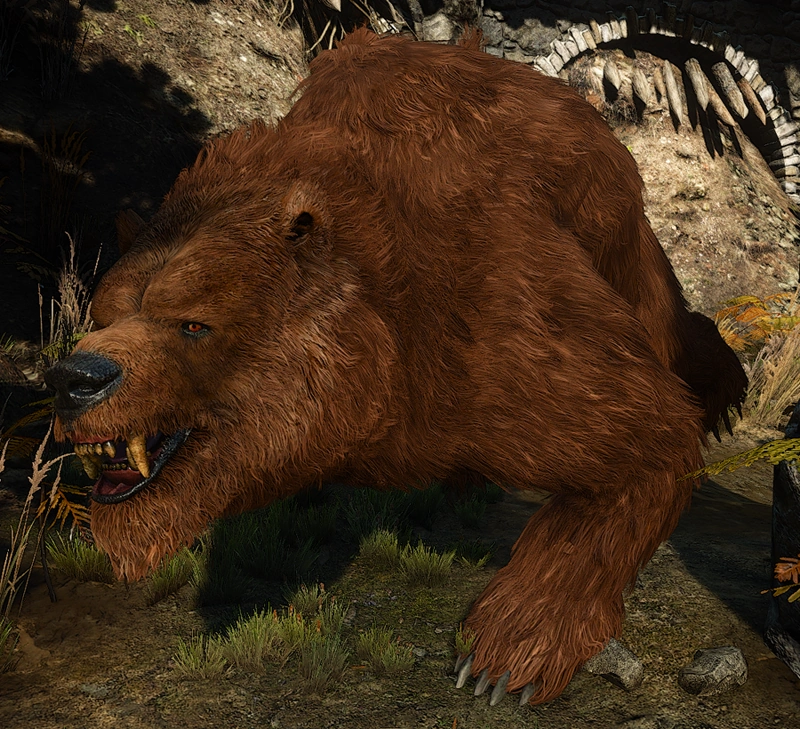 Olaf (bear) | Witcher Wiki | Fandom