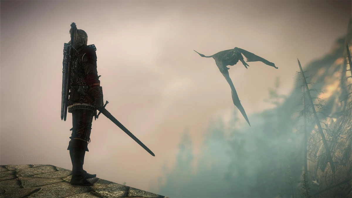 Saesenthessis | Sorceleur Wiki | Fandom