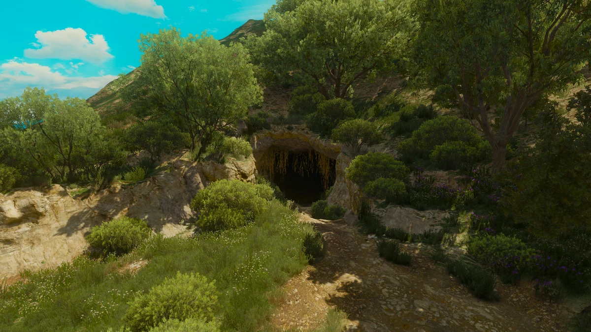 Albertus Grotto | Witcher Wiki | Fandom