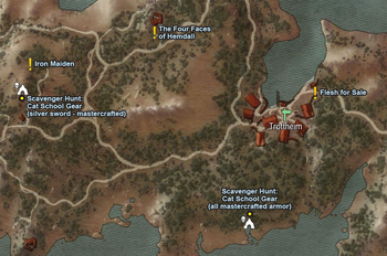 The Four Faces of Hemdall | Witcher Wiki | Fandom