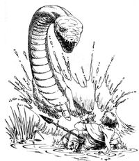 Vypper | Witcher Wiki | Fandom