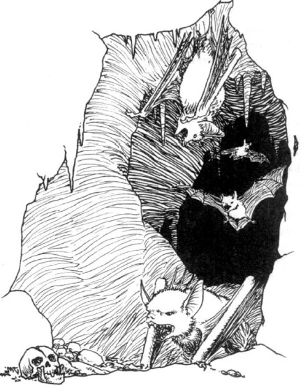 Vespertílio | The Witcher Wiki | Fandom