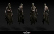 Wraith | Witcher Wiki | Fandom