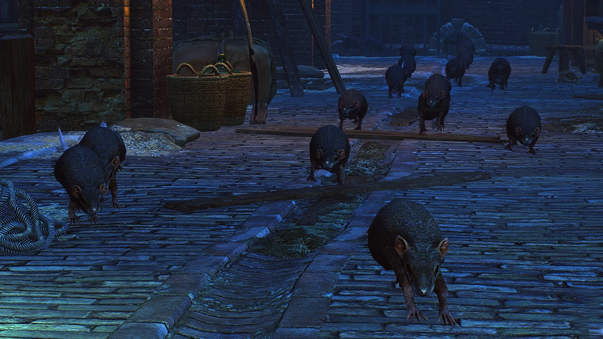 Rat | Witcher Wiki | Fandom