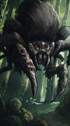 Aracnomorfo | The Witcher Wiki | Fandom