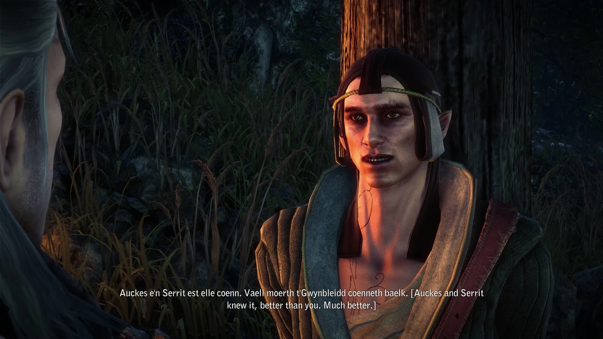 Elven prisoner | Witcher Wiki | Fandom