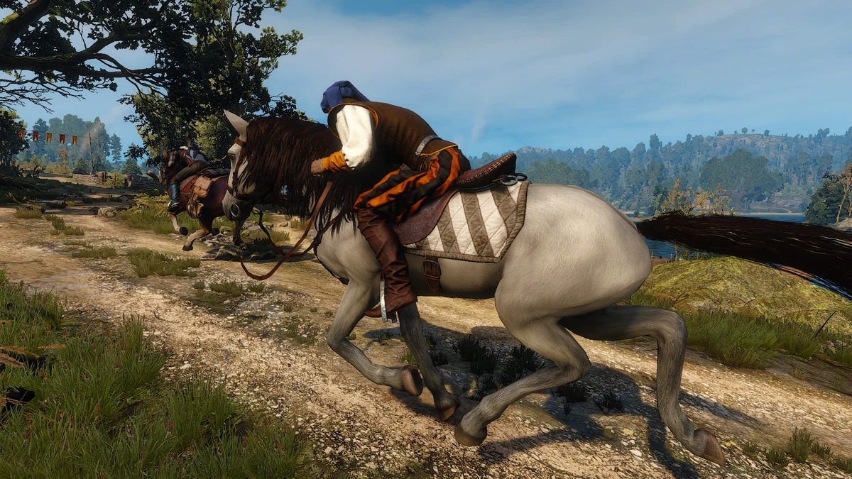 Races: Swift as the Western Winds | Witcher Wiki | Fandom