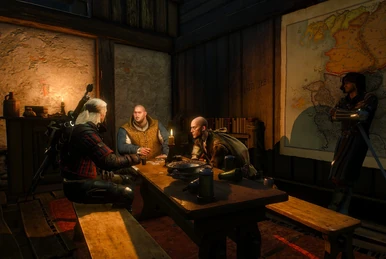 witcher 3 triss earring