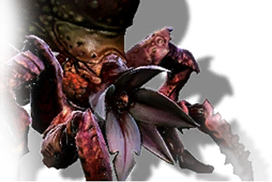 kikimora witcher weakness