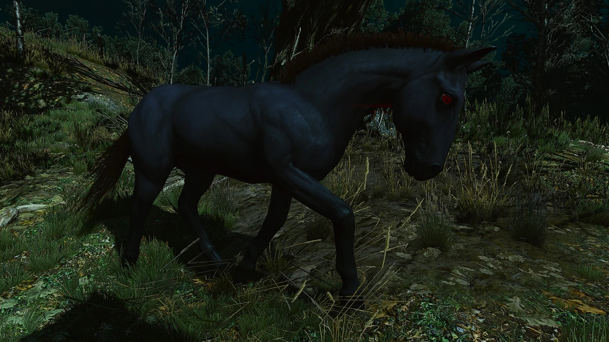 Black Beauty | Witcher Wiki | Fandom