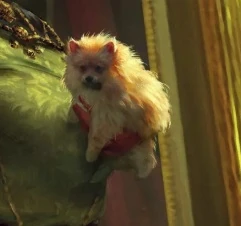 Tiberius | Witcher Wiki | Fandom