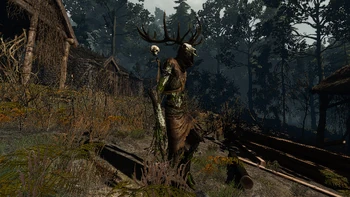 Abandoned Sawmill (quest) | Witcher Wiki | Fandom