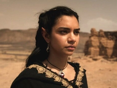 Falka (Netflix series) | Witcher Wiki | Fandom