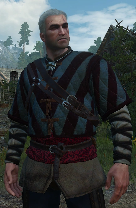 Verden archer's gambeson | Witcher Wiki | Fandom