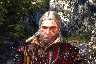 Elven Armor The Witcher Wiki