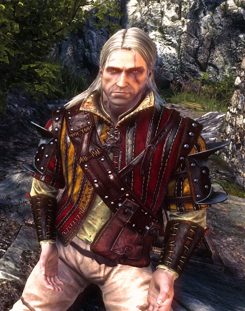Aedernian leather jacket | Witcher Wiki | Fandom