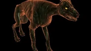 Hellhound | Witcher Wiki | Fandom