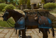 Beauclair blinders | Witcher Wiki | Fandom