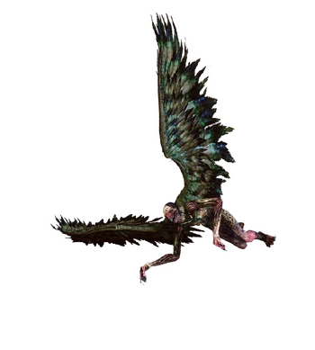 Harpy | Witcher Wiki | Fandom