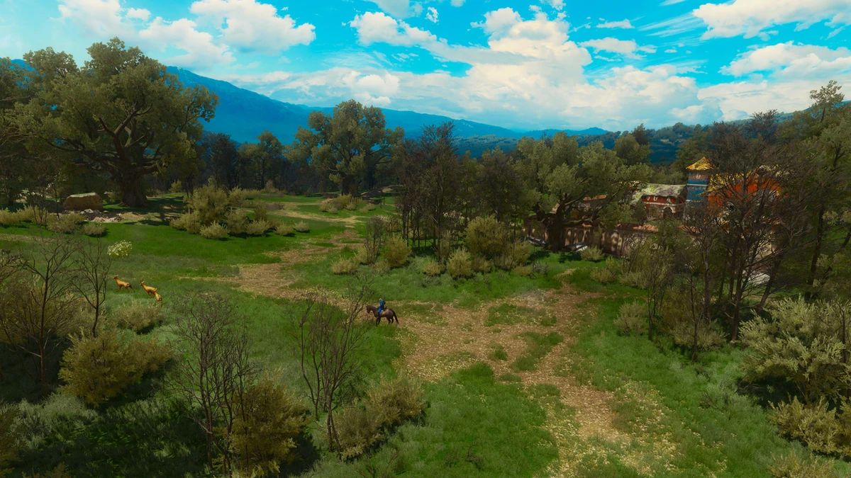 Vedette Valley | Witcher Wiki | Fandom