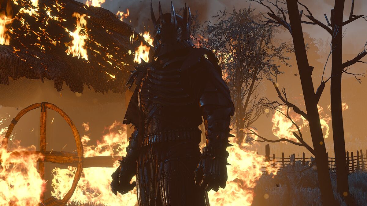 The Nilfgaardian Connection | Witcher Wiki | Fandom