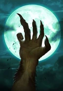 Werewolf | Witcher Wiki | Fandom