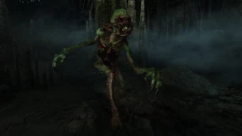 Contract: Swamp Thing | Witcher Wiki | Fandom