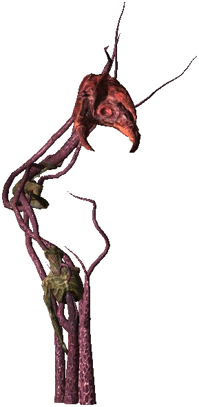 Archespora | Raganius Wiki | Fandom