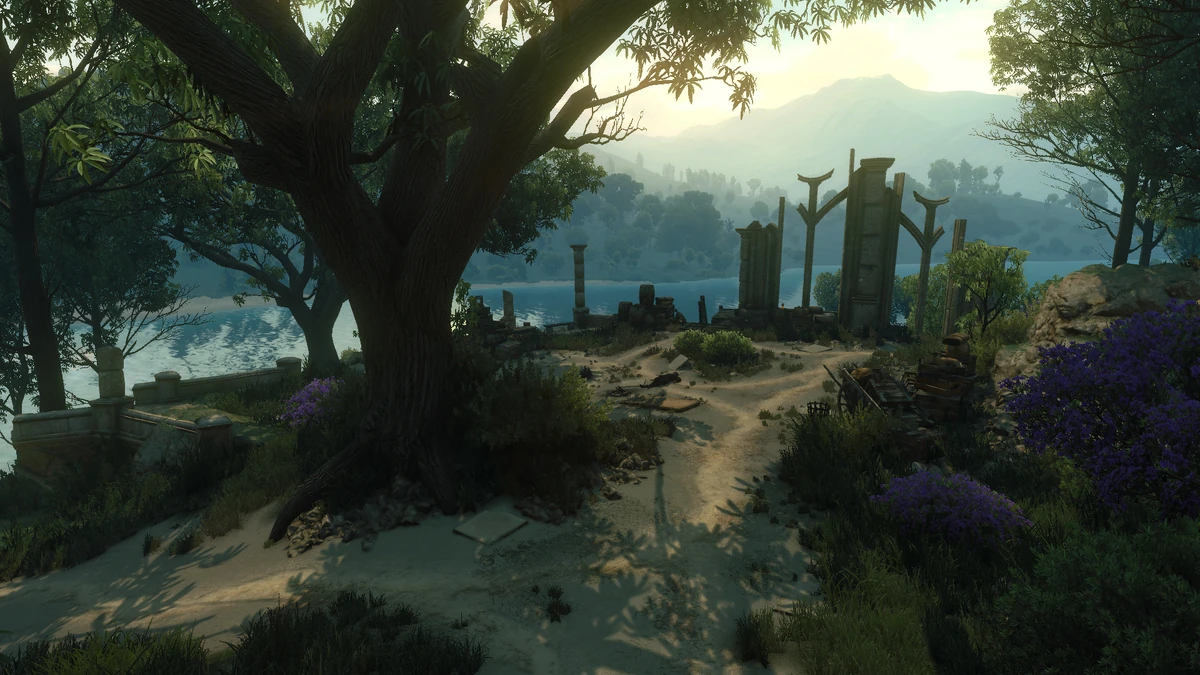Elven Sanctuary Ruins | Witcher Wiki | Fandom